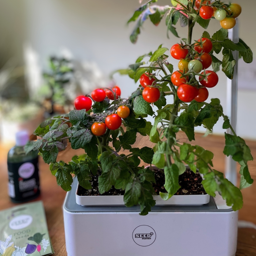 Grow Pod 2 | Science Museum Shop