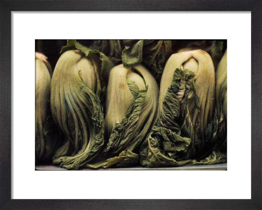 Still life of vegetables | Science Museum Shop
